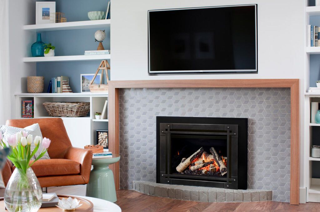 Gas Inserts - Valor - Penguin Fireplace, Inc.